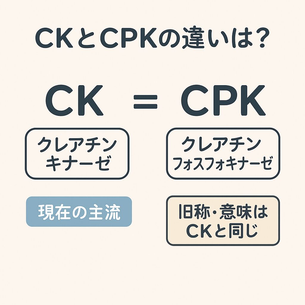 CKとCPKの違いは？ | くすりの勉強 -薬剤師のブログ-